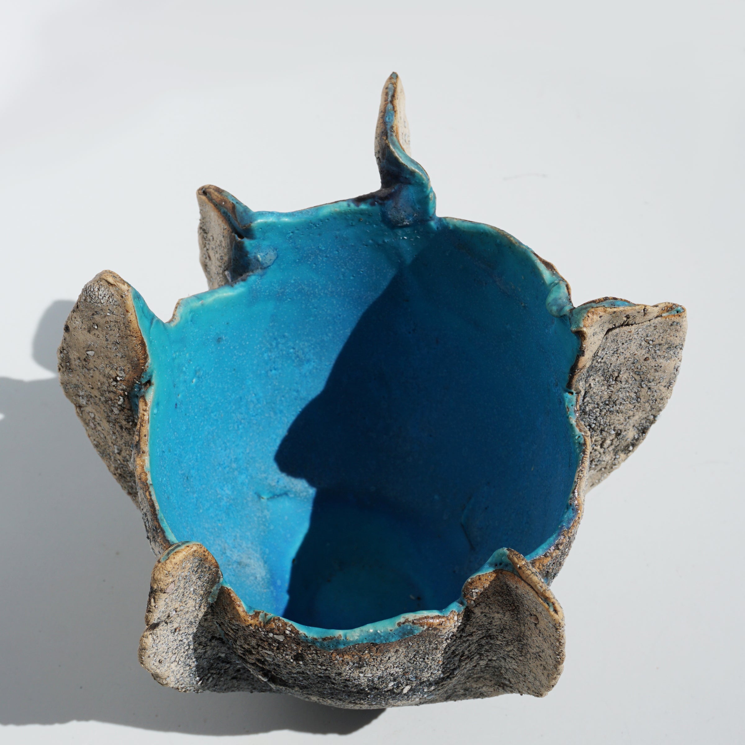 Jagged Form – Cove Gallery Weymouth