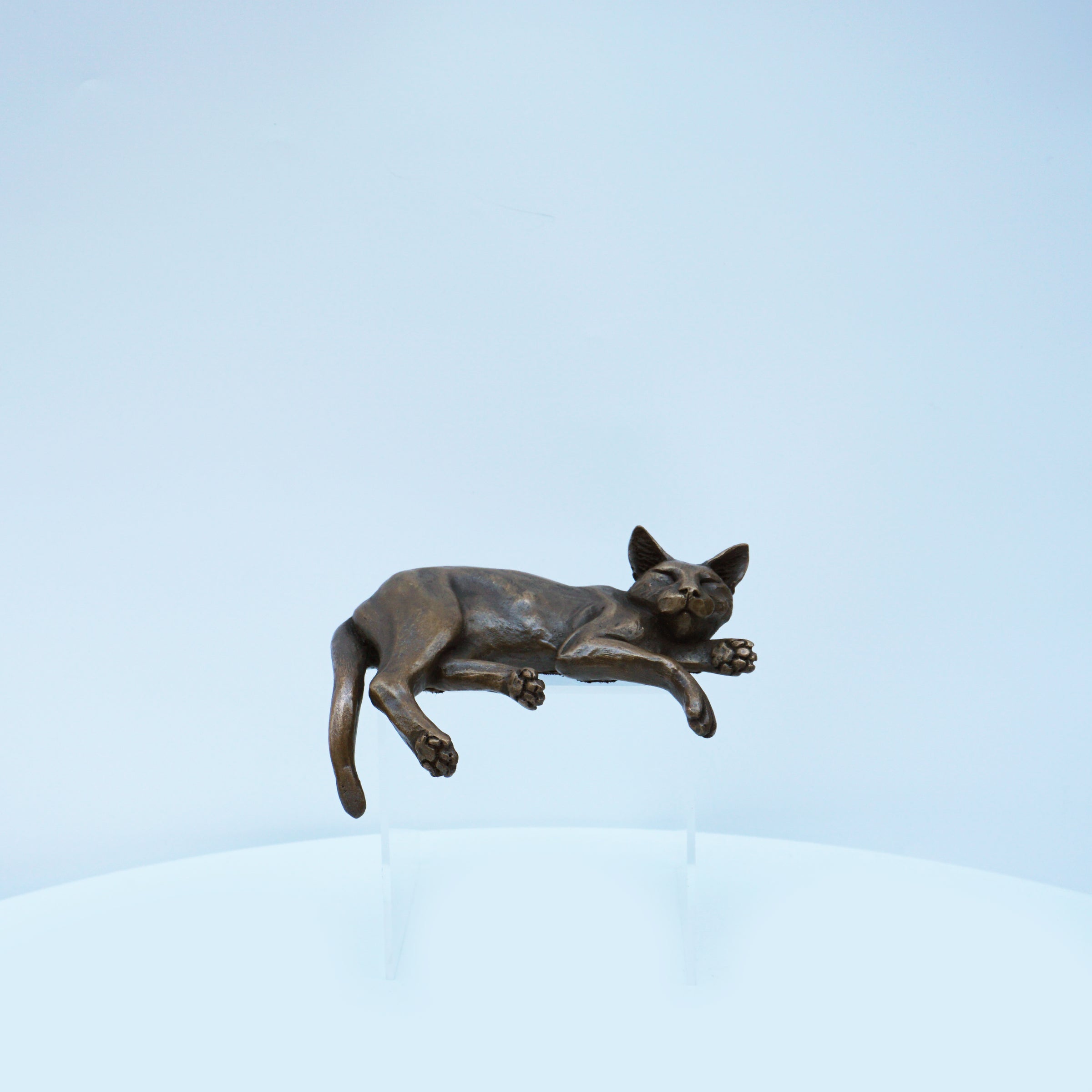 Shelf Cat II – Cove Gallery Weymouth