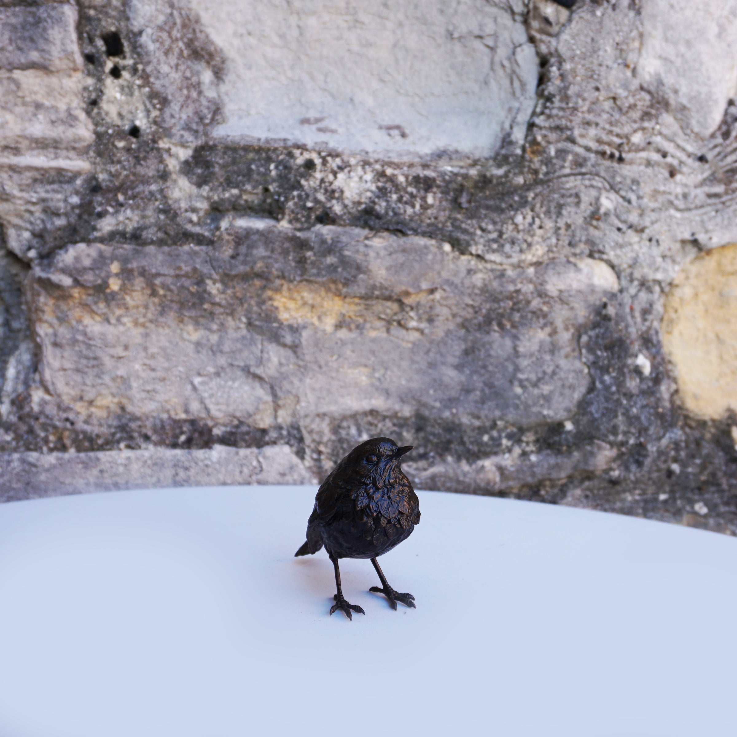 Robin Standing – Cove Gallery Weymouth