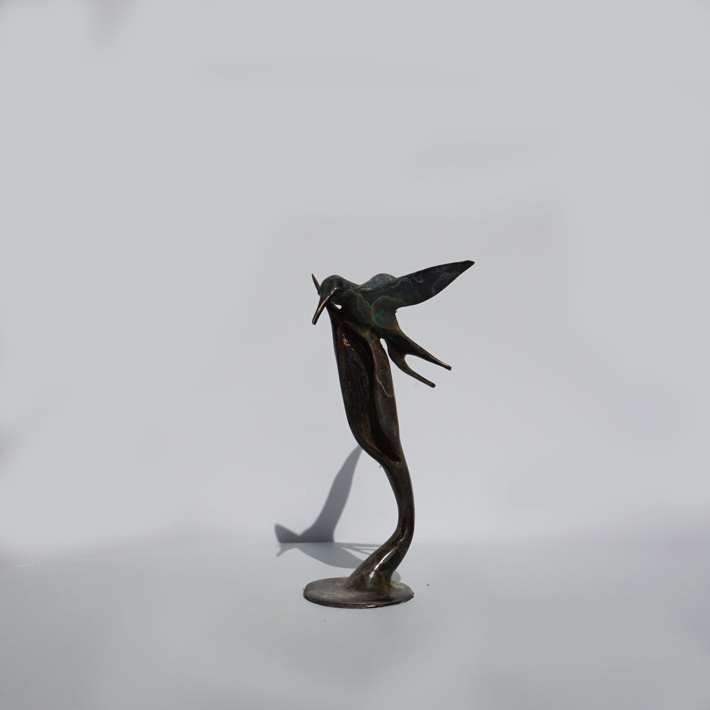 Hummingbird – Cove Gallery Weymouth