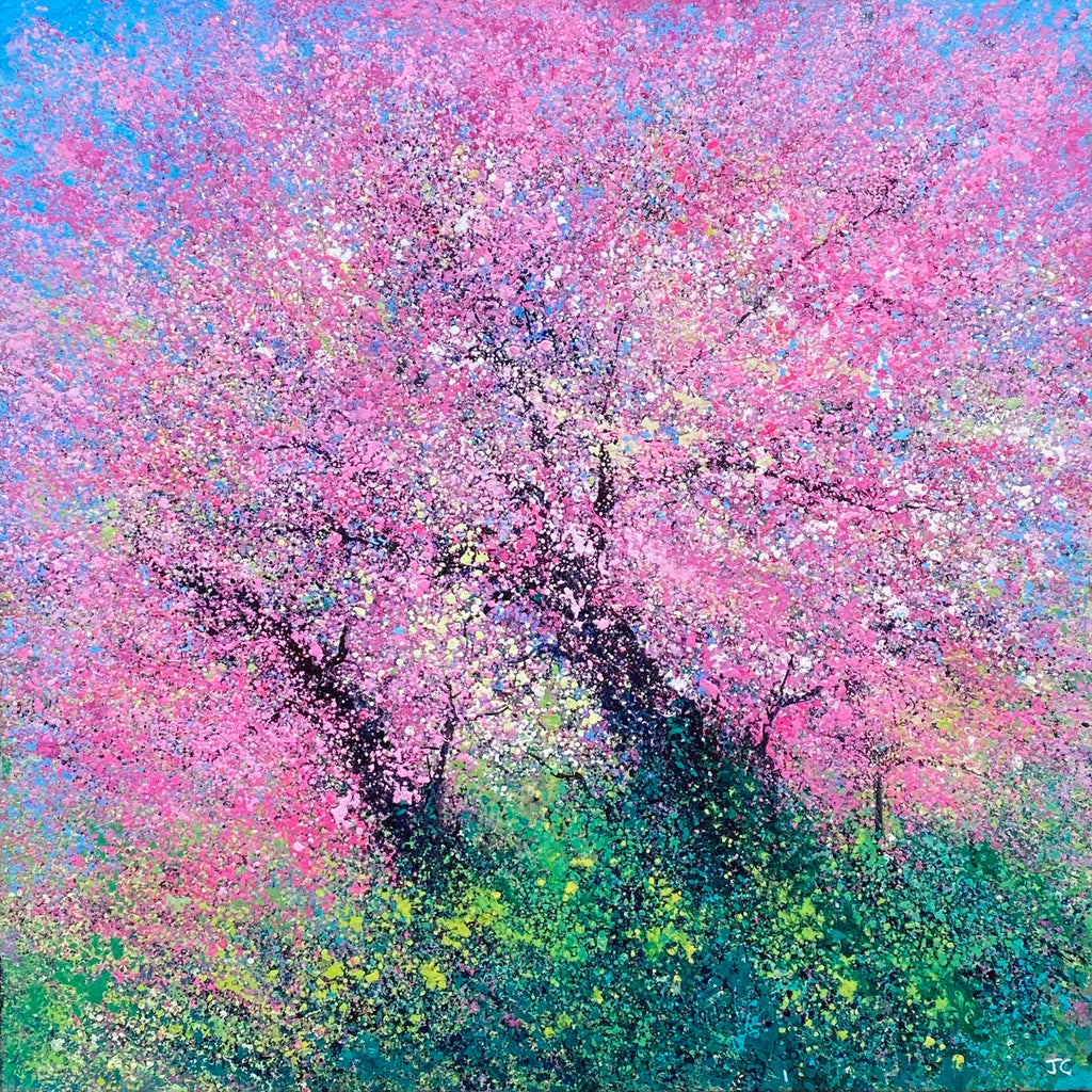 Spring Pink – Cove Gallery Weymouth