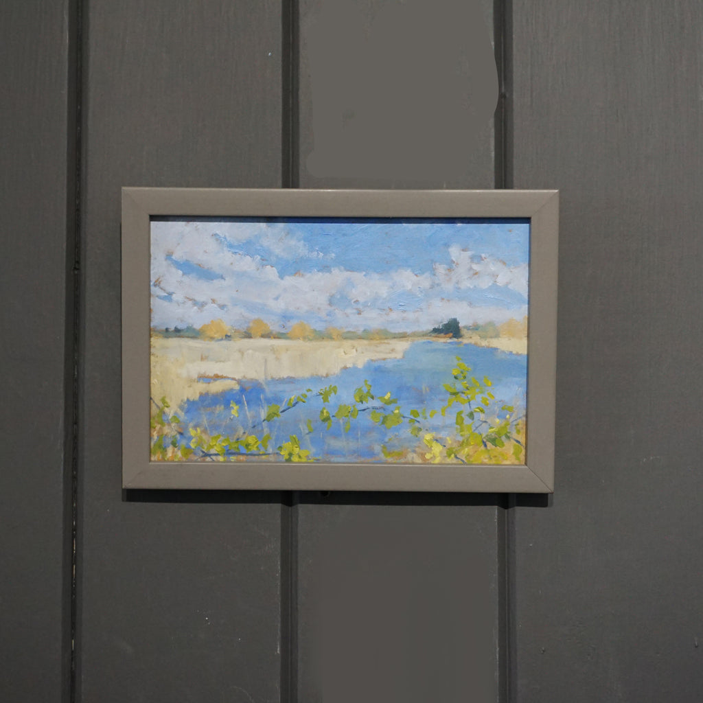 Radipole Lake Reed Bramble, Winow – Cove Gallery Weymouth