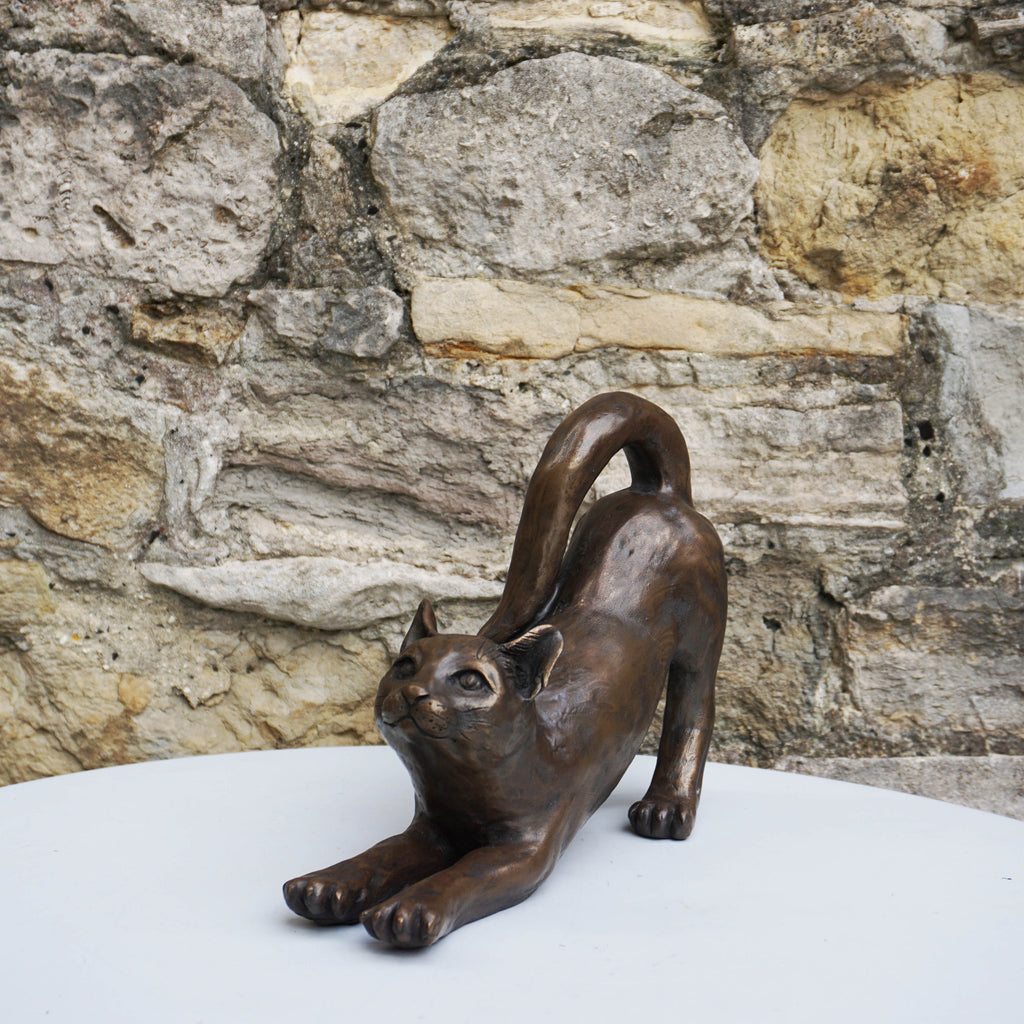 Stretching Cat – Cove Gallery Weymouth