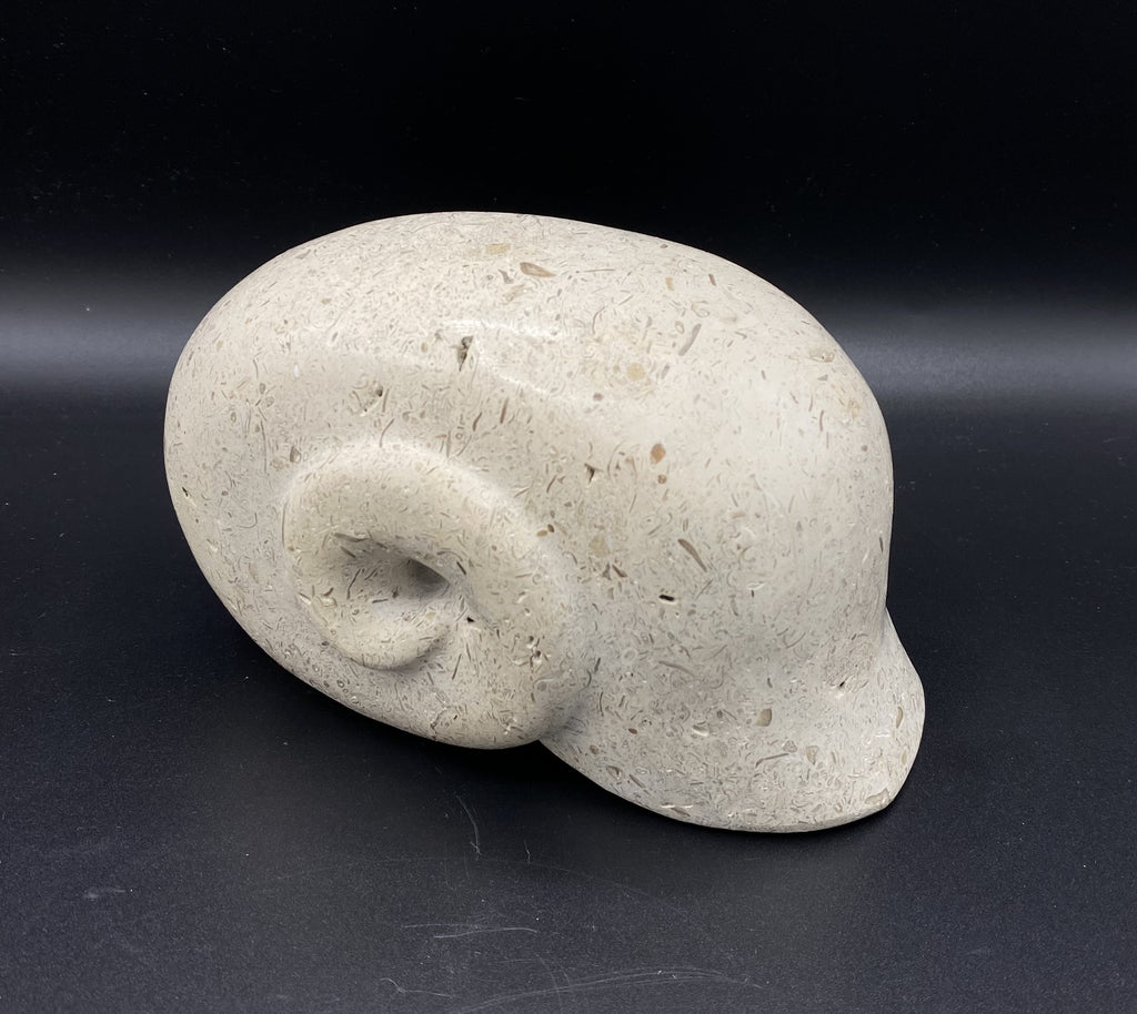 Snail Shell – Cove Gallery Weymouth