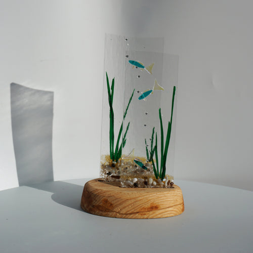 Claire Waters – Cove Gallery Weymouth