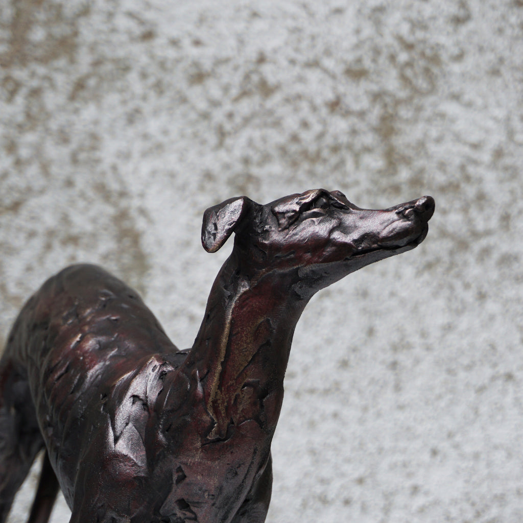 Greyhound – Cove Gallery Weymouth