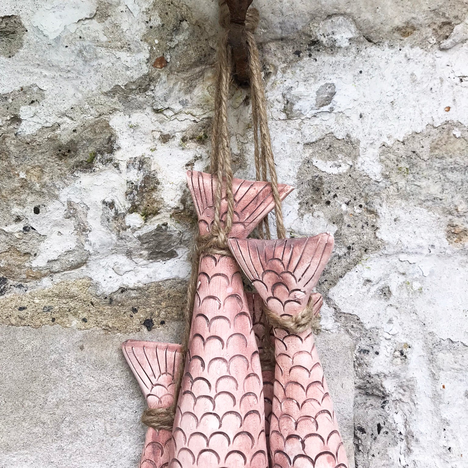 Hanging Herring (Shoal of 5) – Cove Gallery Weymouth