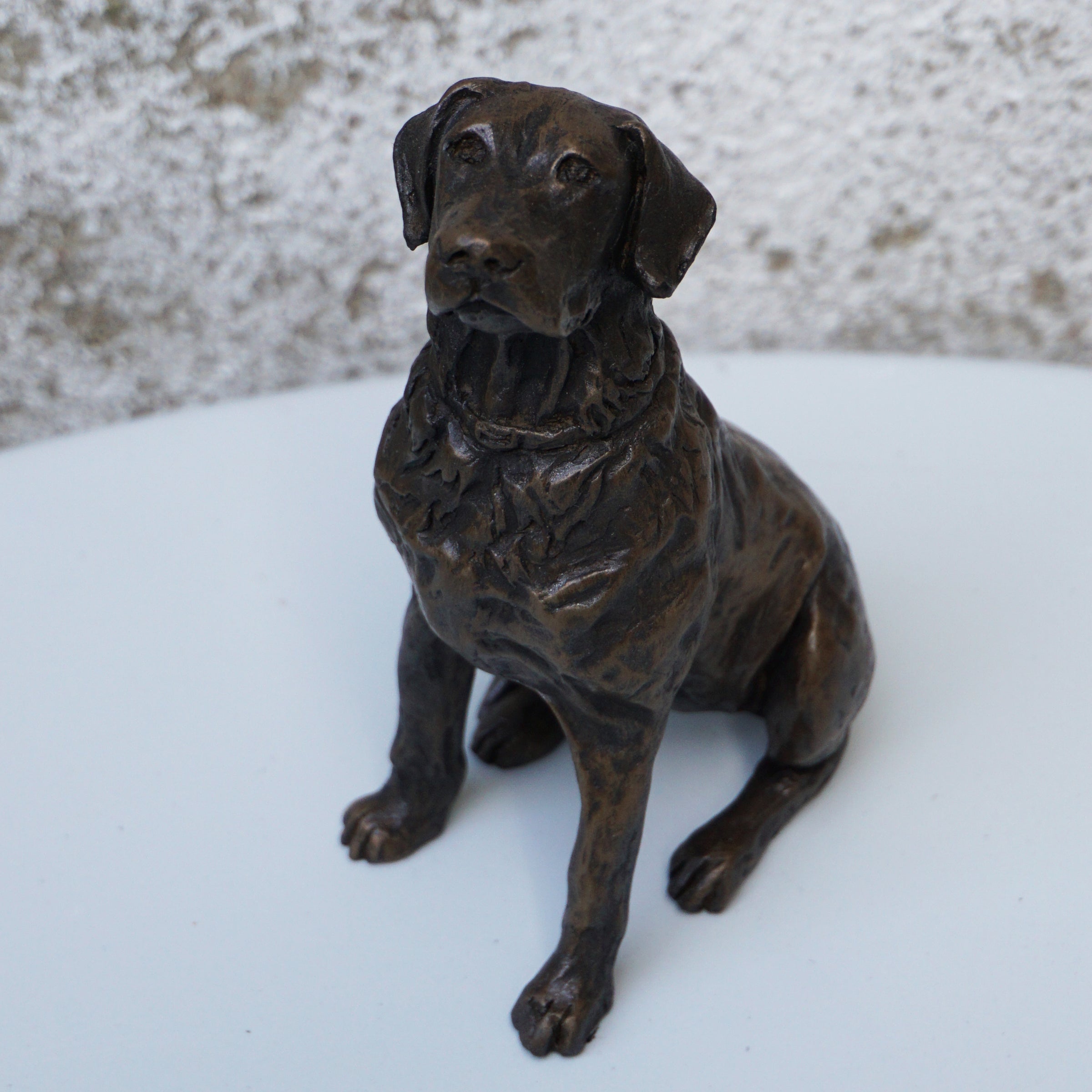 Labrador Sitting (Bronze Resin) – Cove Gallery Weymouth