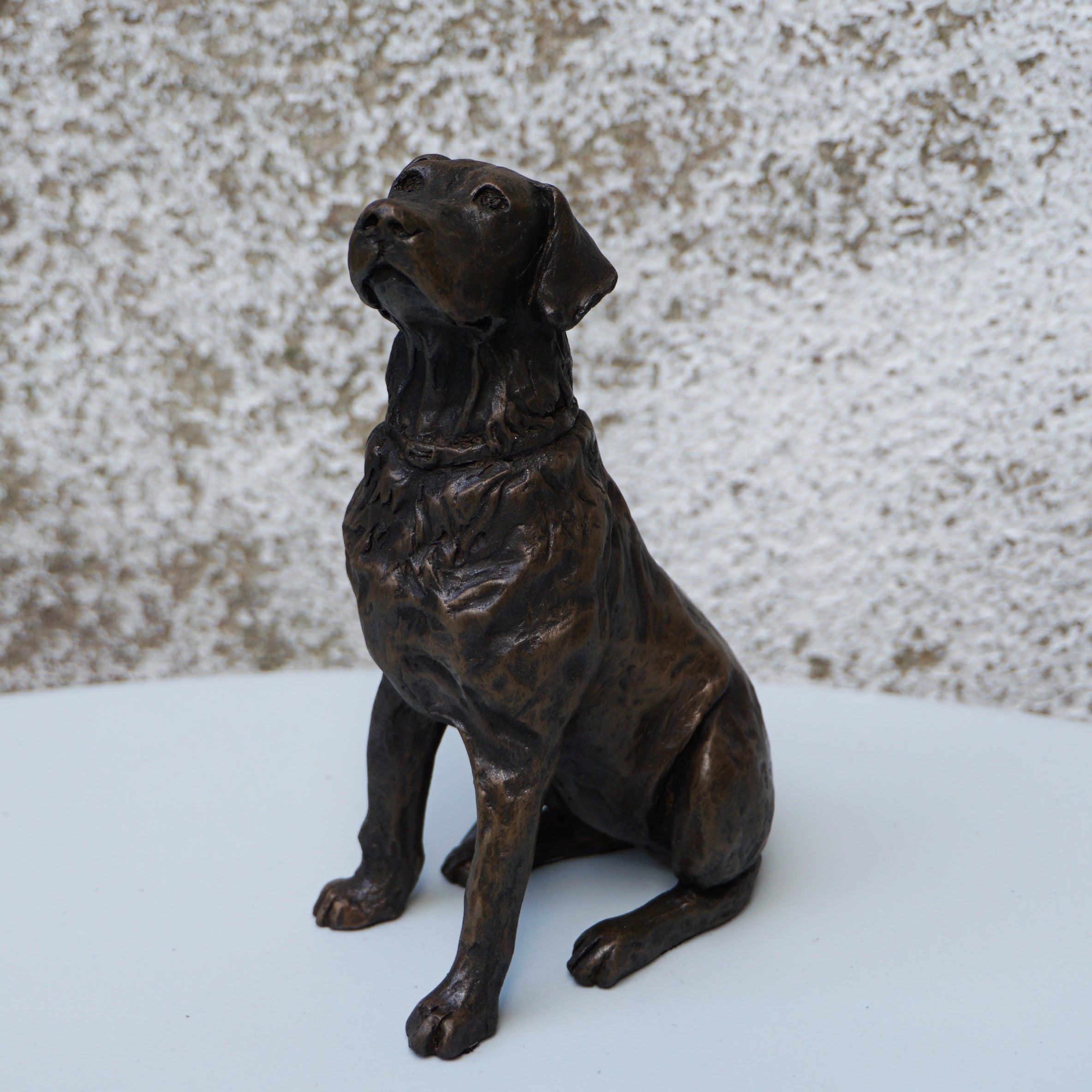 Labrador Sitting (Bronze Resin) – Cove Gallery Weymouth