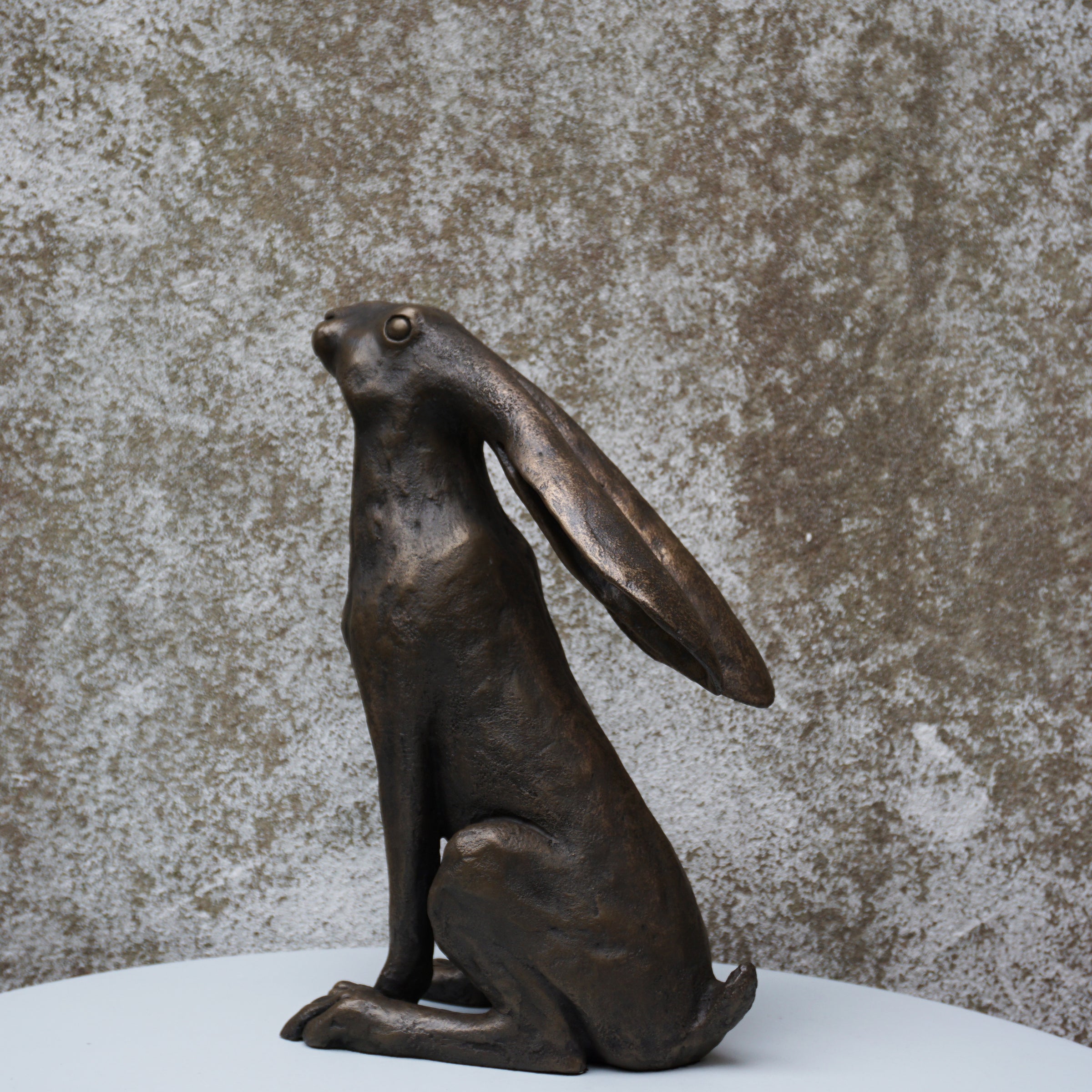 Moon Gazing Hare – Cove Gallery Weymouth